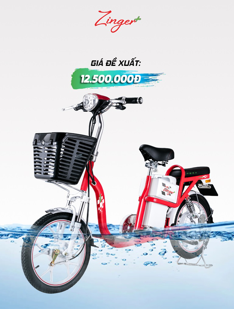 Xe đạp điện PEGA (HKbike) bán chạy số 1 Việt Nam