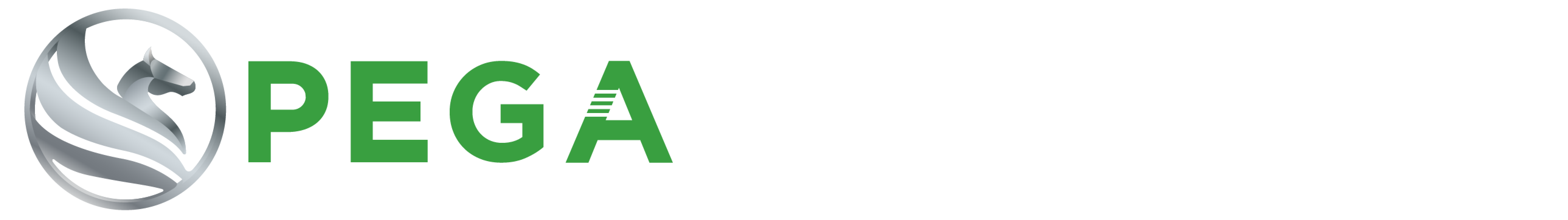 Xe điện, xe đạp điện, xe máy điện tốt nhất Việt Nam - PEGA